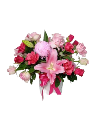 Lucy – Les Fleurs D'amour